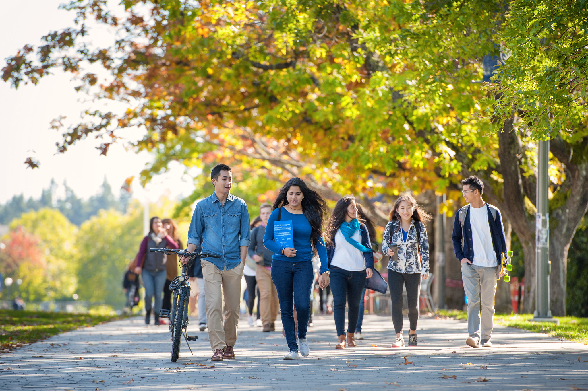 Help Shape Ubcs First Institution Wide Digital Strategy Ubc Today